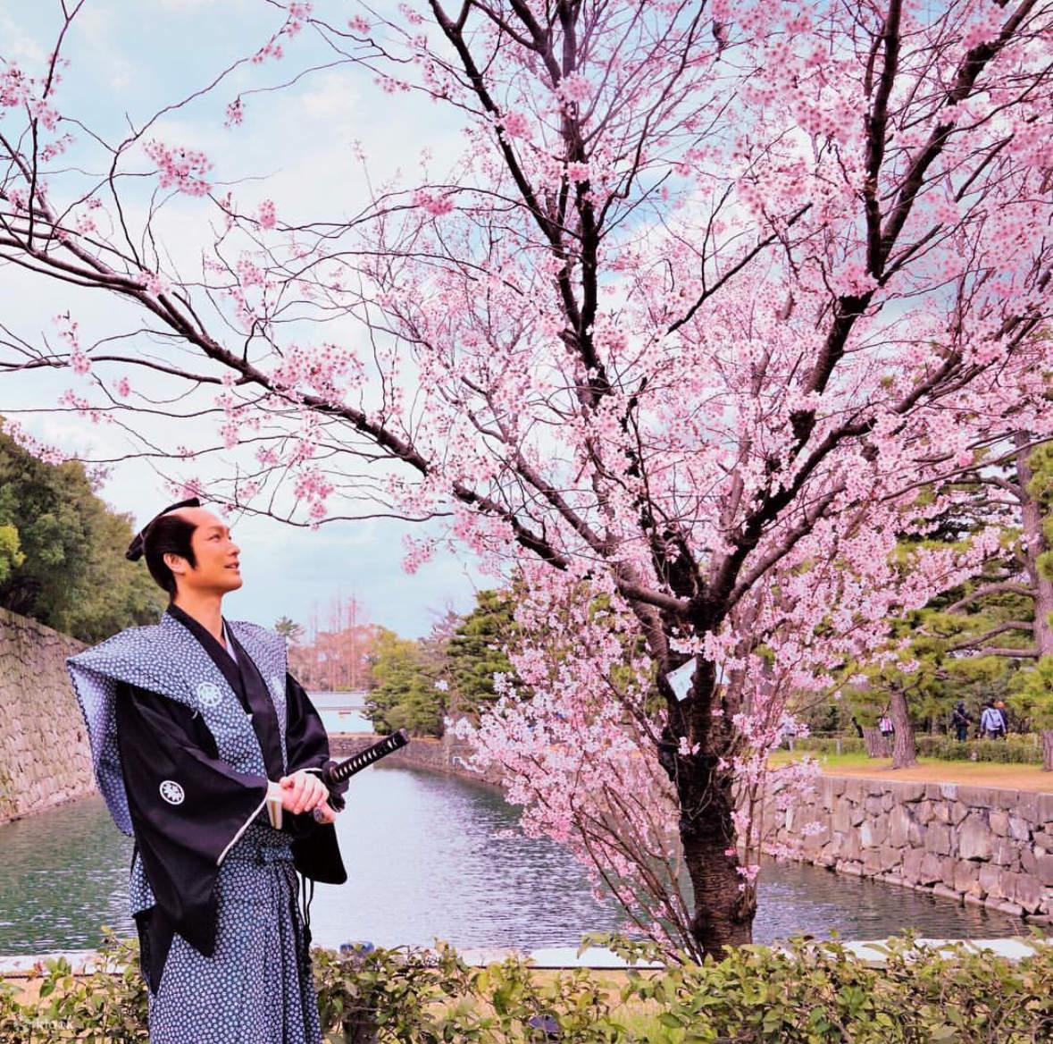 [Kyoto Panoramic Day Tour] Kinkakuji Temple, Arashiyama, Nijo Castle ...